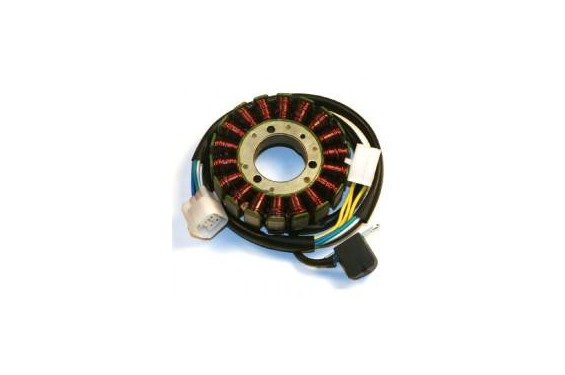 Stator d'allumage Moto Electrosport pour Suzuki DR-Z 400 E et S (00-09)